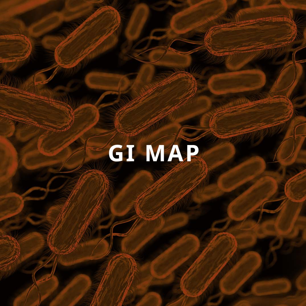 GI Map – Lab Test Asia